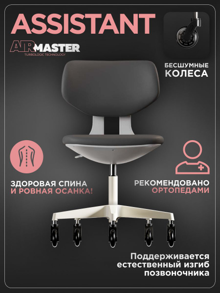 AirMaster Стул мастера со спинкой ASSISTANT, анатомический купить на OZON по низкой цене ...