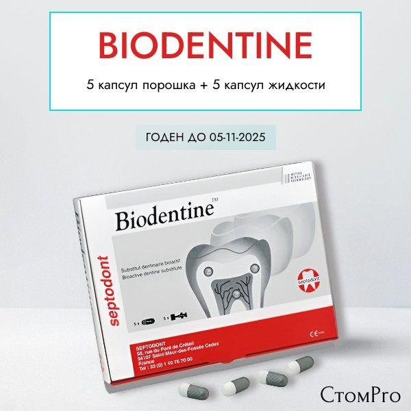 Биодентин 5 капсул х 700 мг. Biodentine septodont. Витремер купить на ...