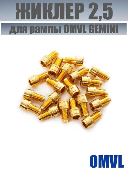 Жиклер 2,5 мм для форсунок (рампы) ГБО OMVL GEMINI - 20 штук купить на OZON по низкой цене ...
