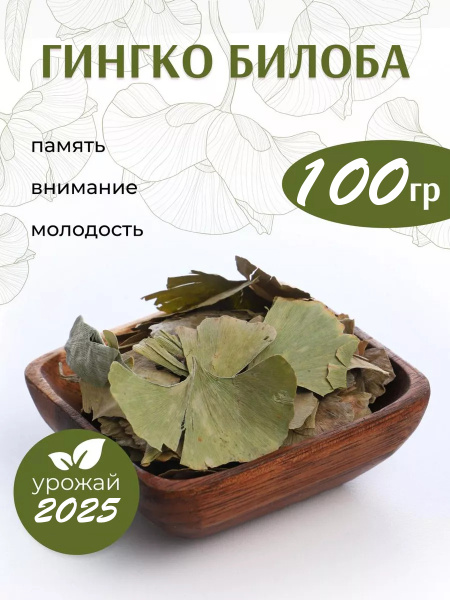 Листья Гинкго Билоба Китайский Чай Из Дикого Гинкго Лекарственный ...