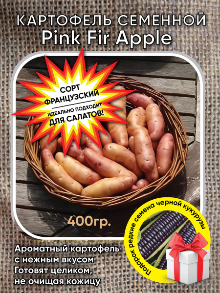 Дикий картофель Розовое Еловое Яблоко (Pink Fir Apple Potatoes), 400 гр ...