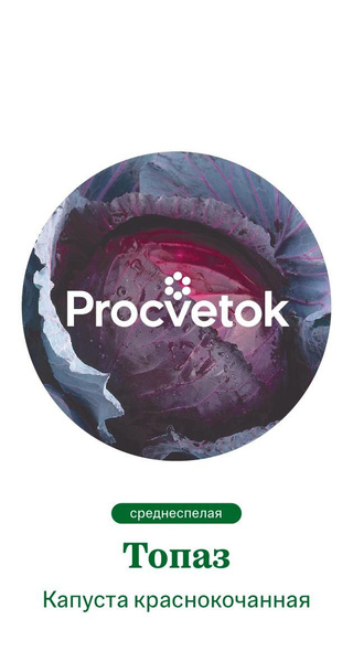 Procvetok Базилик Лимонный 0,5 г - купить по выгодным ценам в интернет-магазине OZON (1984723420)