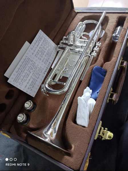 Yamaha YTR-8335GS играет на трубе купить на OZON по низкой цене (1728373144)