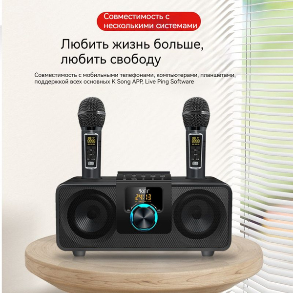 Беспроводная караоке система с микрофоном - купить с доставкой по ...