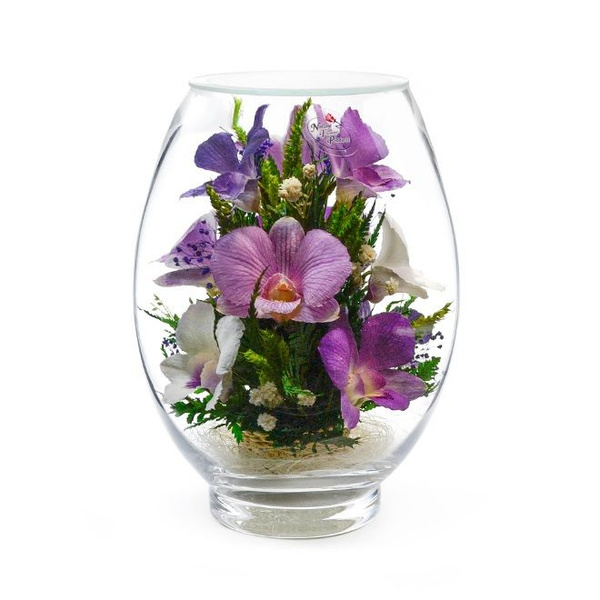 Стабилизированные цветы в стекле Natural Flower Products Орхидея, 18 см ...