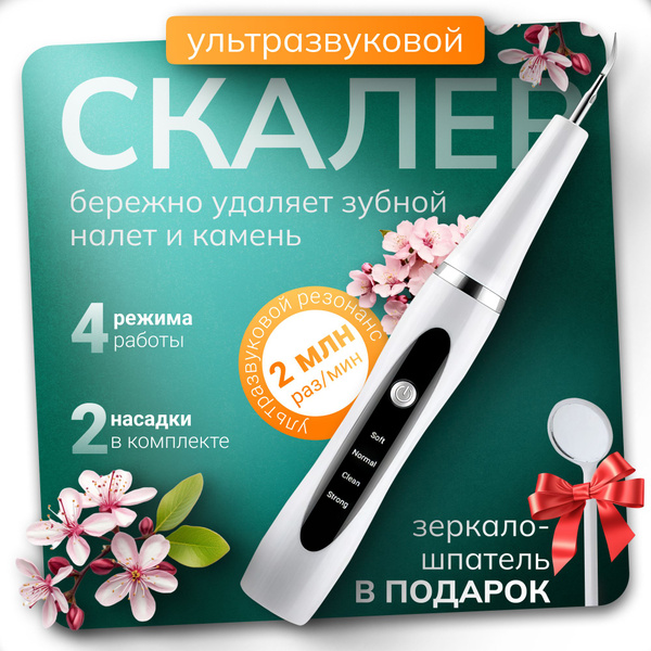 Скалер ультразвуковой, портативный, электрический, 4 режима, 2 насадки ...