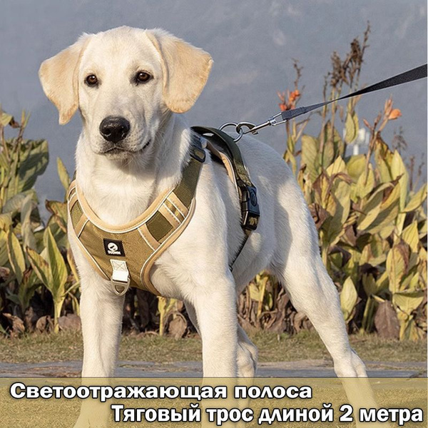 Характеристики Шлейка анатомическая для собак мелких, средних и крупных ...