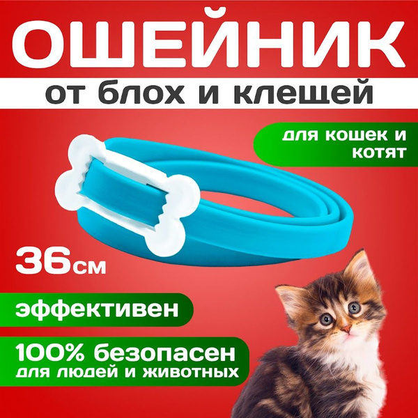 Ошейник от блох и клещей для кошек и котят, BioDoctor - купить с ...