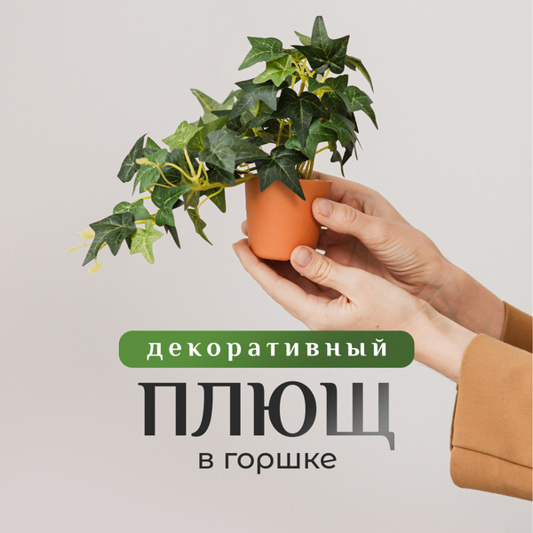Купить Искусственный плющ. Растение в горшке кашпо / Искусственная ...