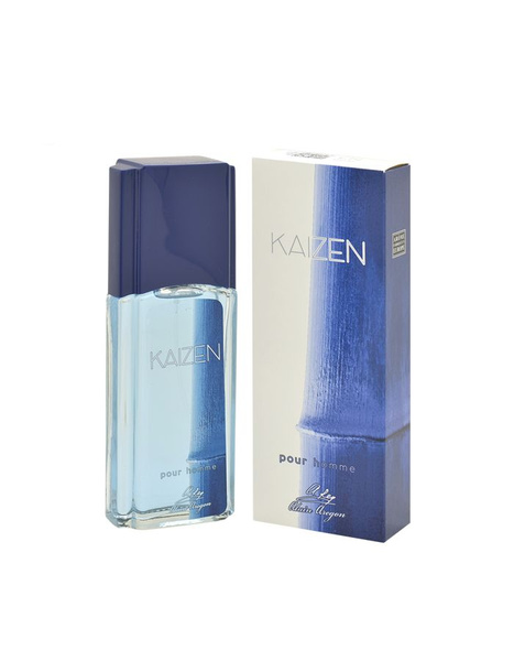 Positive Parfum KAIZEN - POUR HOMME Туалетная вода 95 мл (1554667847)