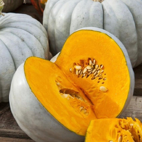 Тыквы Deodar SEEDS COMPANY Тыква - купить по выгодным ценам в интернет ...