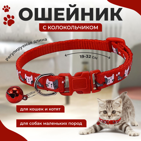 Ошейник для кошки и кота. Ошейник для собак мелких пород с ...