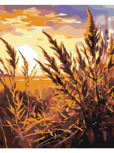 Картина по номерам закат в поле кустарники Размер 40х50, на холсте на ...