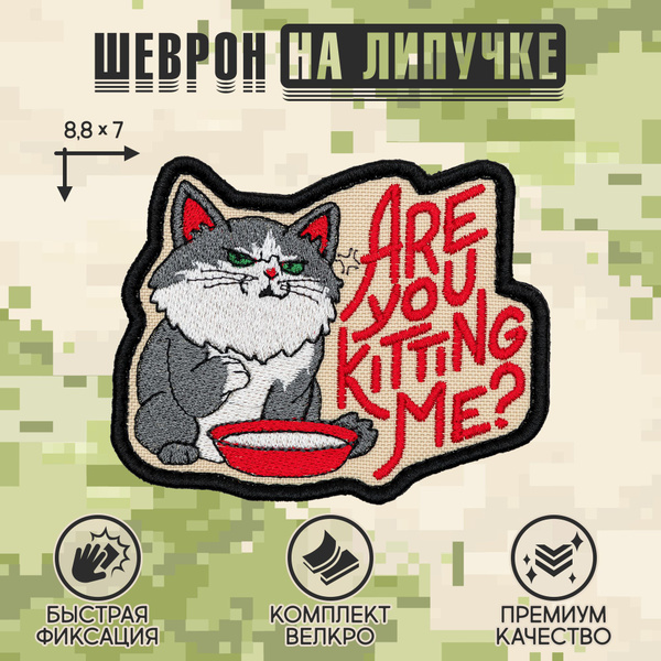 Нашивка на одежду, патч, шеврон на липучке "Are you kitting me?" 8,8х7 ...