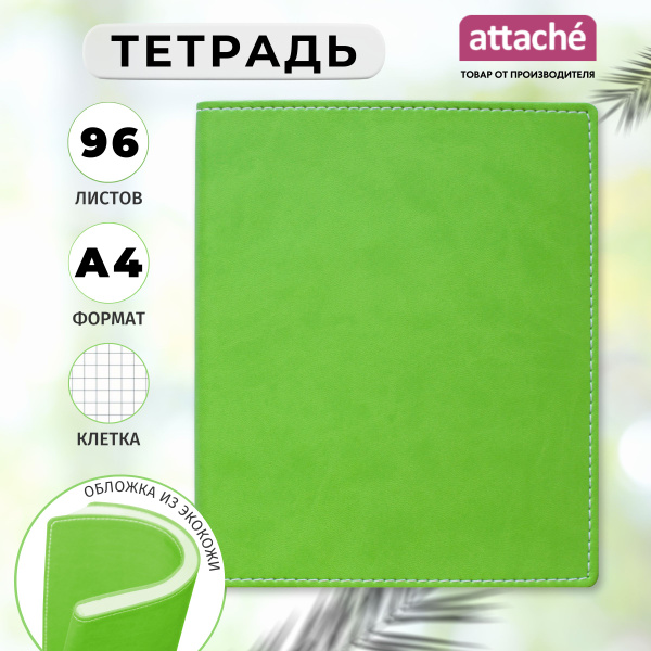 Тетрадь Attache Клэр, А4, 96 листов, в клетку, на сшивке купить на OZON по низкой цене (855935879)