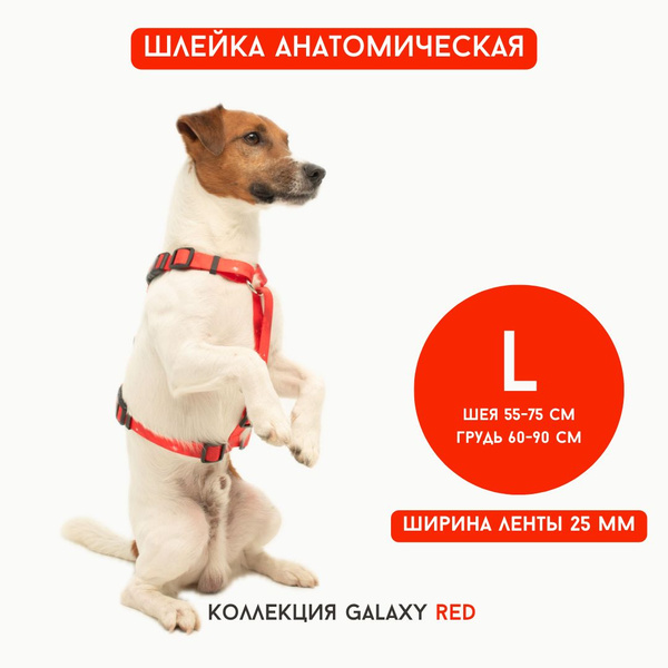 Шлейка анатомическая для собак HUNKIS DOG Galaxy для собак крупных ...