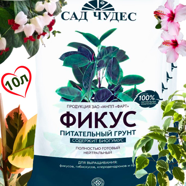 Грунт для фикуса 10 л - купить по низкой цене в интернет-магазине OZON ...