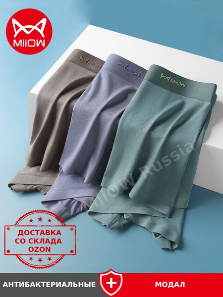 Комплект трусов боксеры Miiow, 3 шт купить на OZON по низкой цене (1598064243)