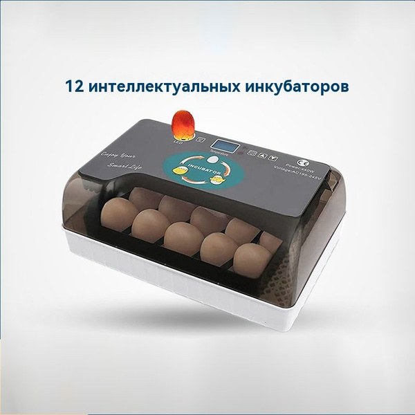 12 EGG Incubator Мини - домашний полностью автоматический инкубатор ...