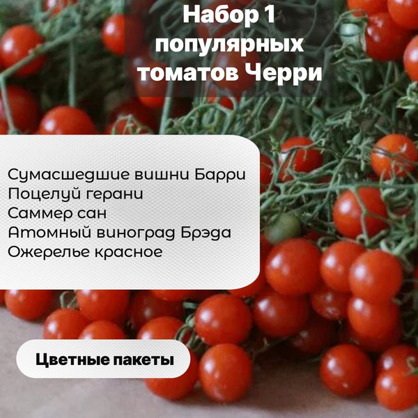 Томаты Набор томатов - купить по выгодным ценам в интернет-магазине ...