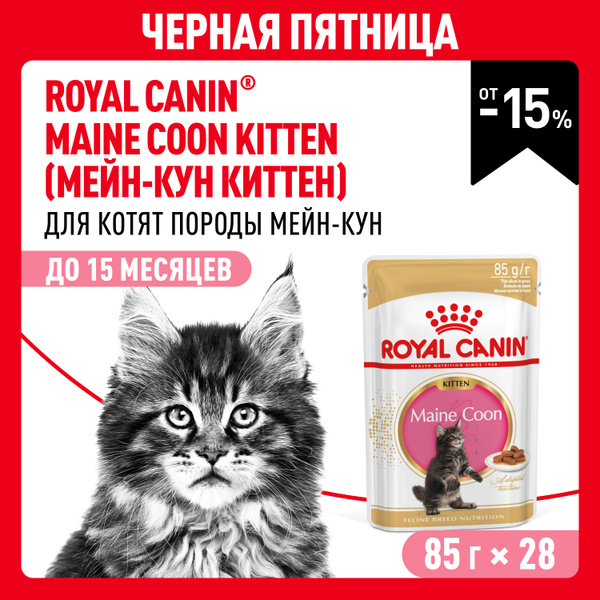 Влажный корм для котят Royal Canin Kitten в соусе для породы мейн кун ...