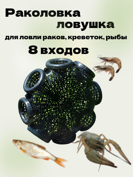 Раколовка 8 входов купить c доставкой на OZON по низкой цене (1762035571)