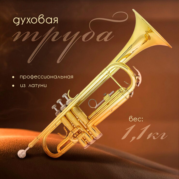 Труба музыкальный духовой инструмент купить на OZON по низкой цене ...