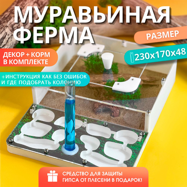 Средняя гипсовая муравьиная ферма AntBerry. ВСЕ включено. Формикарий ...