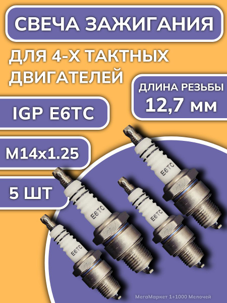 Свеча зажигания для 4-х тактных двигателей IGP E6TC 5 шт. купить на OZON по низкой цене (1587778315)