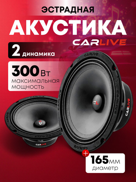 CARLIVE CAR ACCESSORIES Колонки для автомобиля, 16.5 см (6.5 дюйм.) купить на OZON по низкой ...