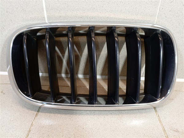 BMW Решетка радиатора, арт. 51137294486, 1 шт. купить на OZON по низкой ...