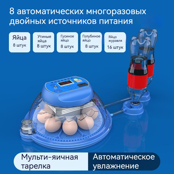 Умный инкубатор, небольшой бытовой инкубатор - купить с доставкой по ...