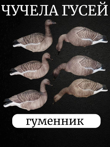 Oscar decoys Чучело - купить с доставкой по выгодным ценам в интернет ...