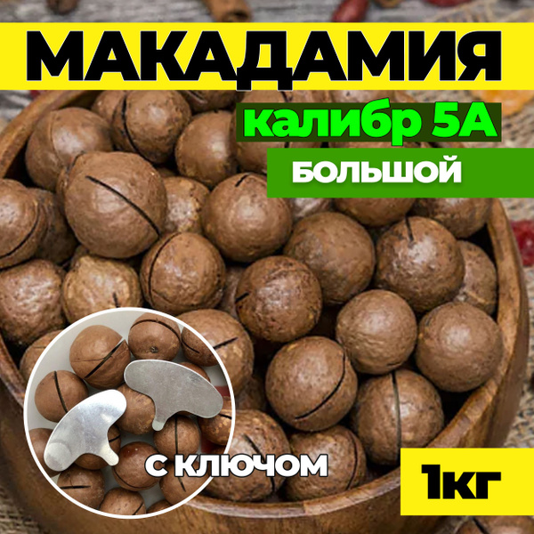 Макадамия, Макадамия орех, калибр 5А 1кг в скорлупе с ключом - купить с ...