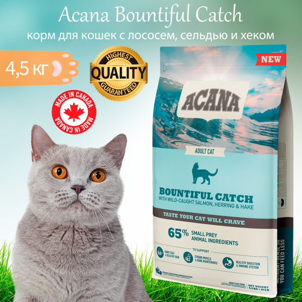 Acana Cat Bountiful Catch низкозерновой корм для взрослых кошек, лосось, сельдь и хек 4,5 кг ...