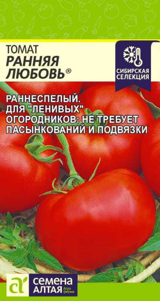 Томаты Семена Алтая Томаты - купить по выгодным ценам в интернет ...