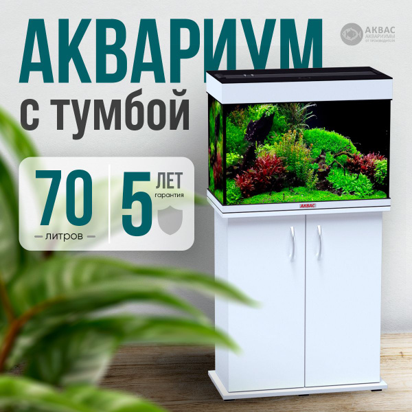 Аквариум 70 литров с тумбой крышкой и освещением (61*31*46 см) Аквас ...