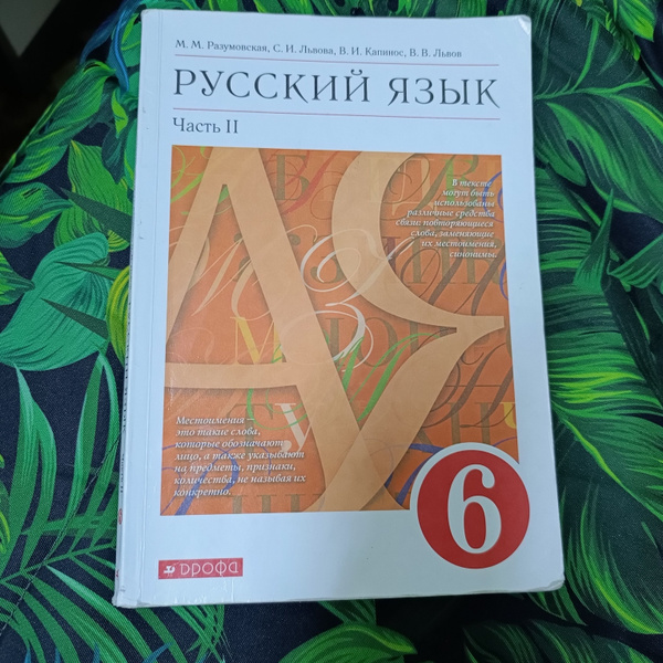 русский язык 6 класс 2 часть Разумовская М.М. Львова С.И. с 20-22 ...