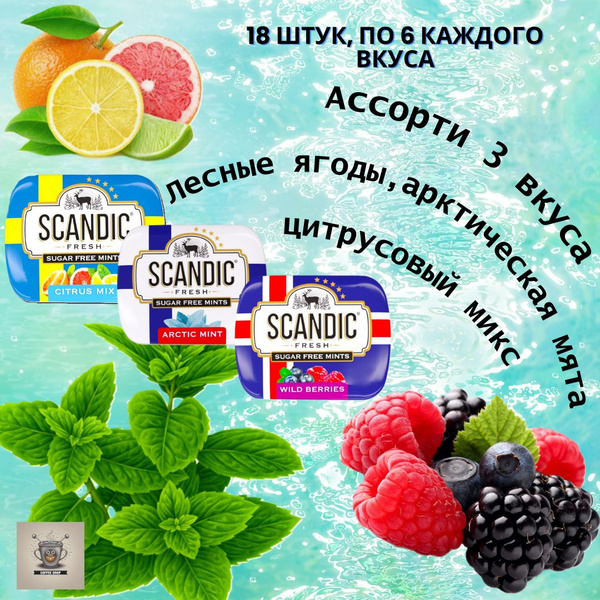 Освежающие конфеты SCANDIC (Скандик) без сахара полезные с ксилитом ...