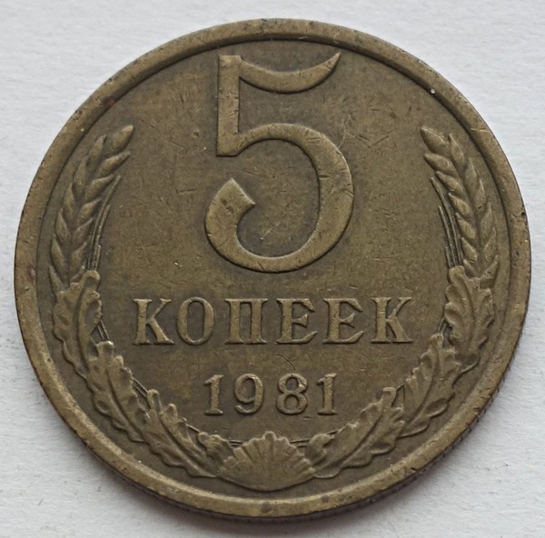 Монета 5 копеек 1981 СССР из оборота - купить в интернет-магазине OZON с быстрой доставкой ...