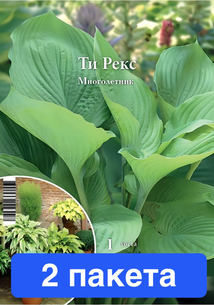 Хоста Ти Рекс, 2 пакета купить на OZON по низкой цене (1566736180)