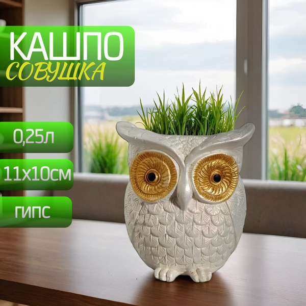 Кашпо для цветов, кашпо для кактусов, декор для дома - купить с ...