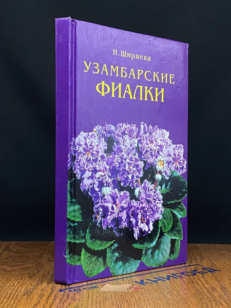 Узамбарские фиалки - купить с доставкой по выгодным ценам в интернет ...