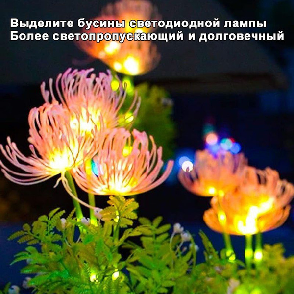Красная паучья лилия солнечного света купить на OZON по низкой цене ...