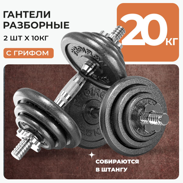 Гантели PROIRON Г21ЧУГ, 2 шт. по 10 кг, серый купить c доставкой на OZON по низкой цене (1390966259)