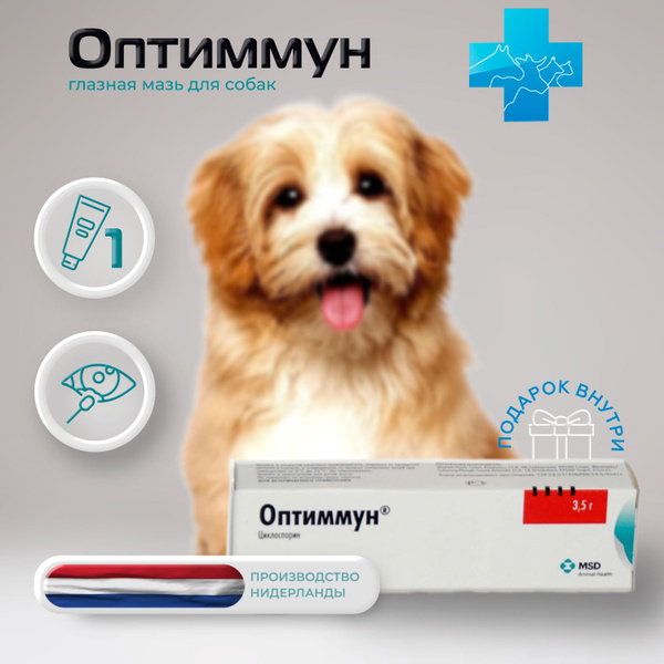 Оптиммун мазь для собак глазная, 3,5 г - купить с доставкой по выгодным ...