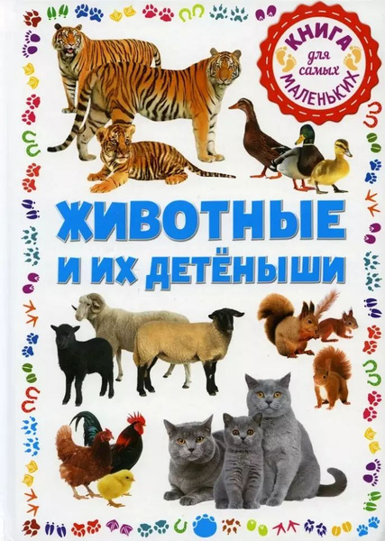 Животные и их детёныши. Книга для самых маленьких - купить с доставкой ...