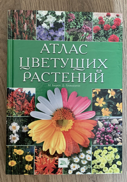 Атлас цветущих растений | Бюрки Мориц - купить с доставкой по выгодным ...