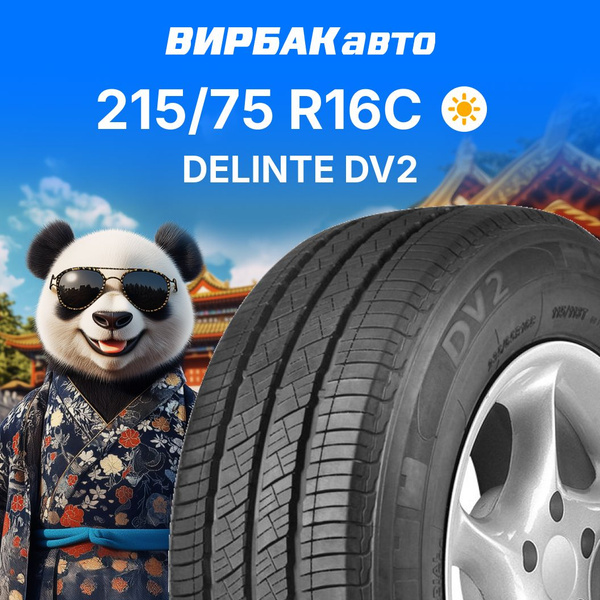 Delinte DV2 Шины для коммерческого транспорта 215/75 R16С 111, 113 S6901532420486 купить c ...