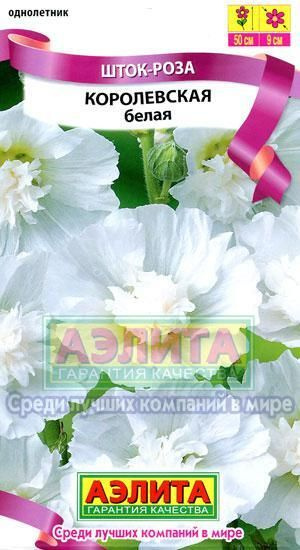 Аэлита Шток-роза Королевская БЕЛАЯ 10шт Н50см /однолетник - купить по ...